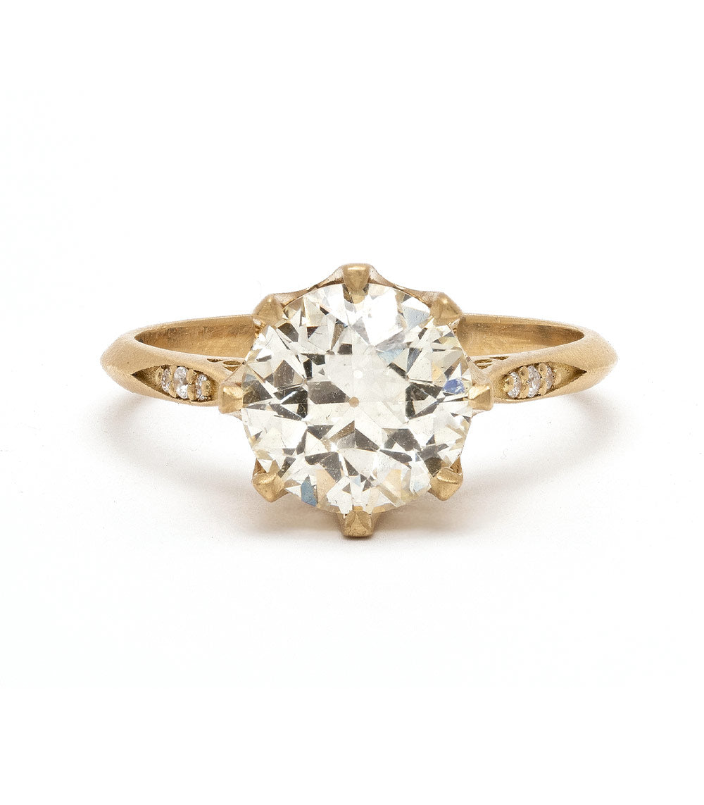 Evangeline – Sofia Kaman