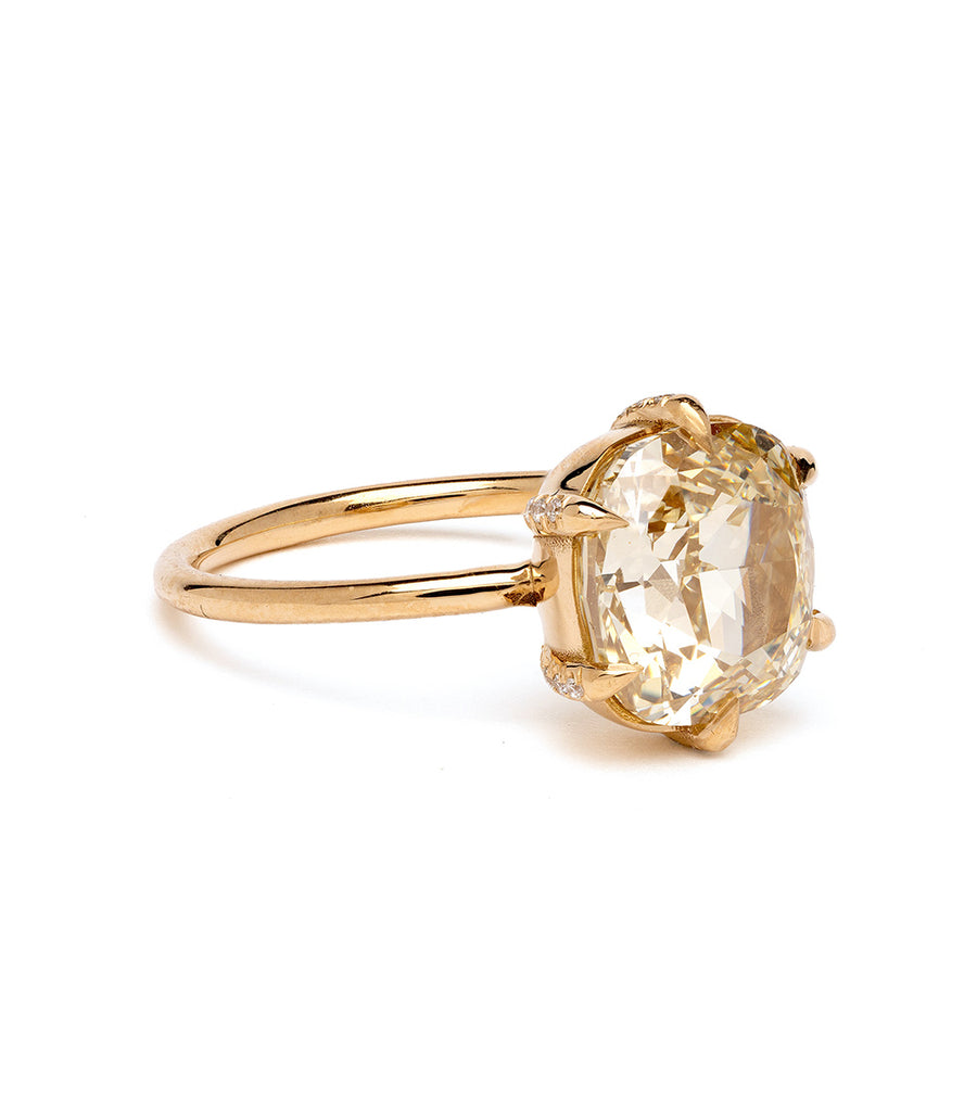 Ella – Sofia Kaman