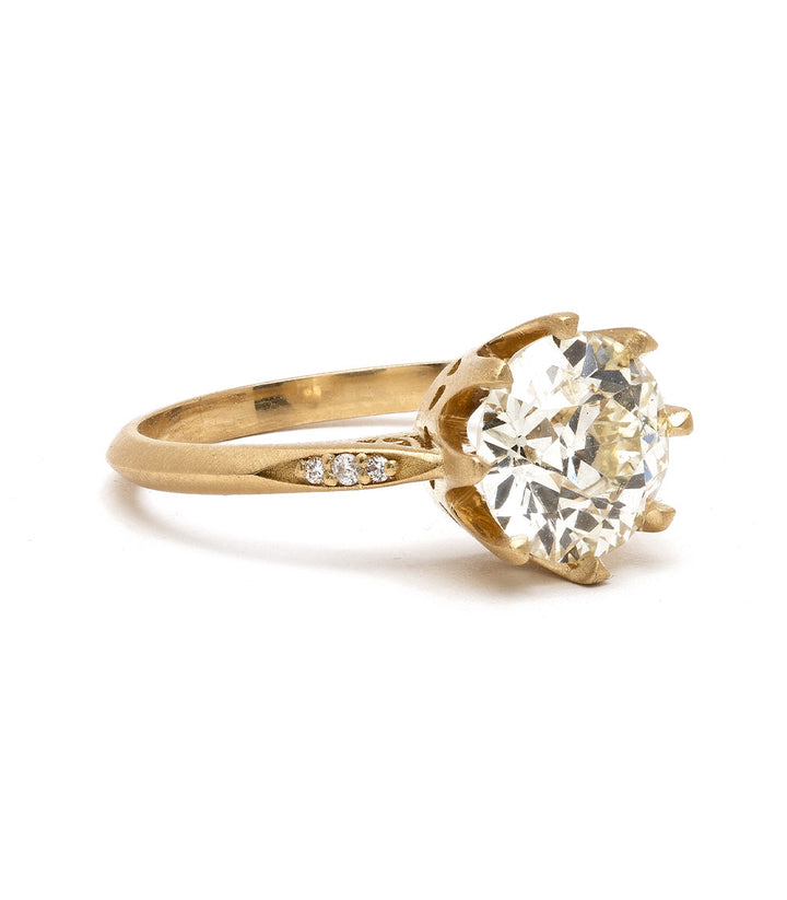 Evangeline – Sofia Kaman