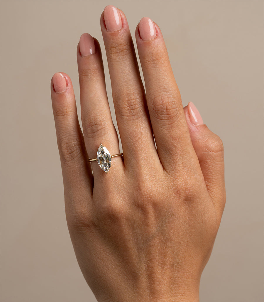 Kate – Sofia Kaman