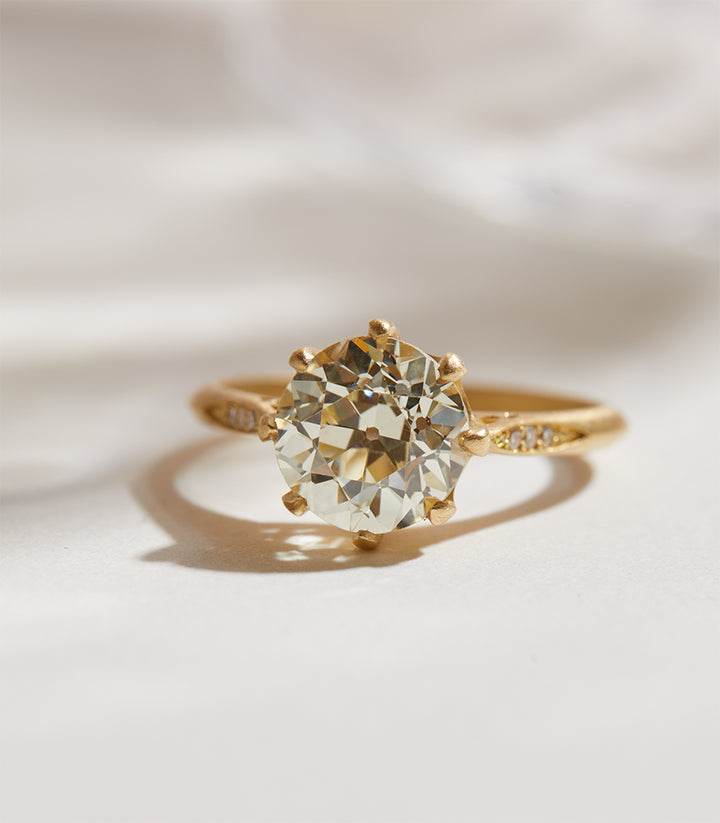 Evangeline – Sofia Kaman